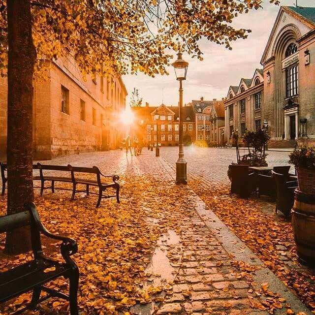 6 Best universities in Denmark for international students